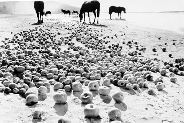 L'Enfance d'Ivan - TAP Cinéma