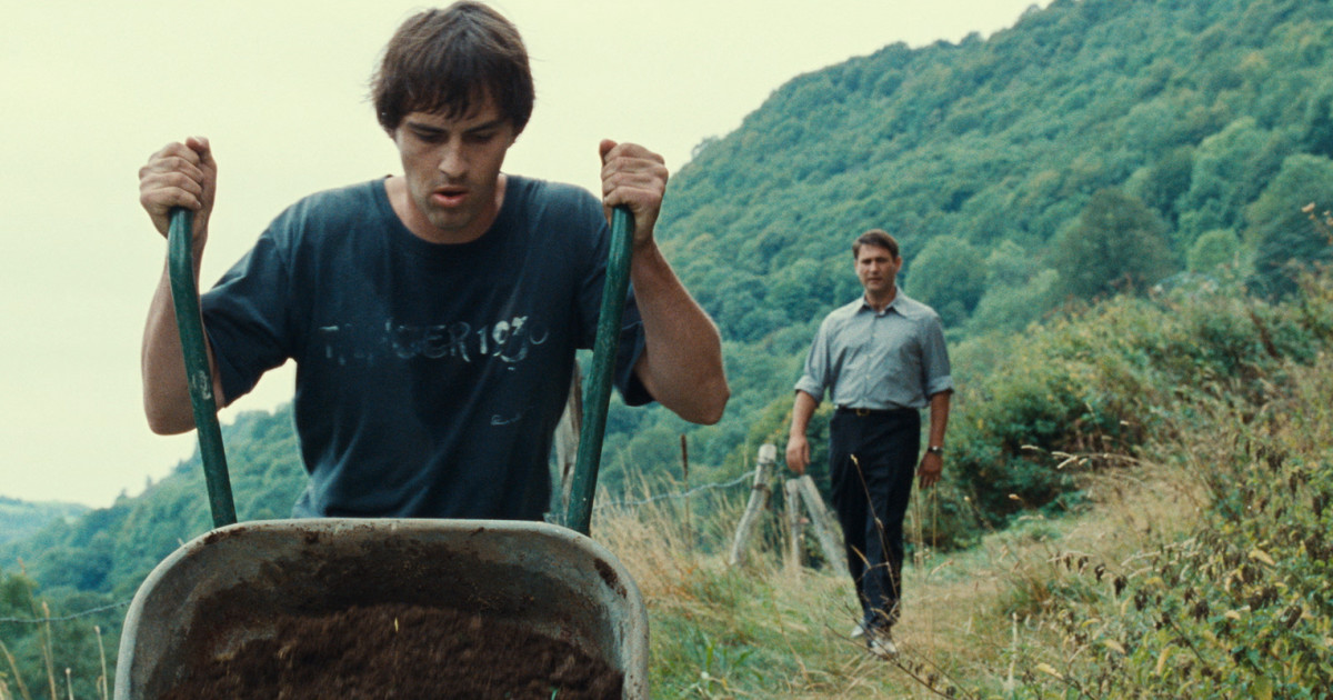 Harry, un ami qui vous veut du bien - TAP Cinéma